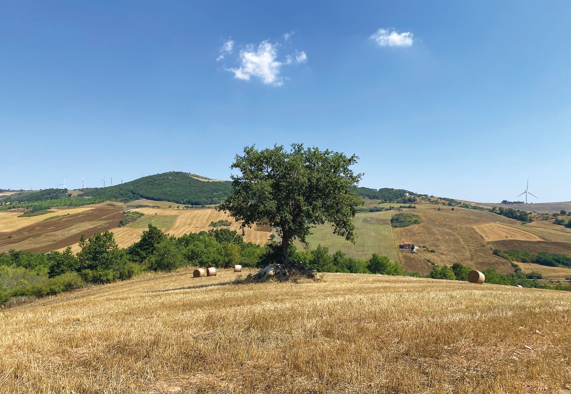 Alta Irpinia: alla scoperta di rocche e castelli | TorinoMagazine