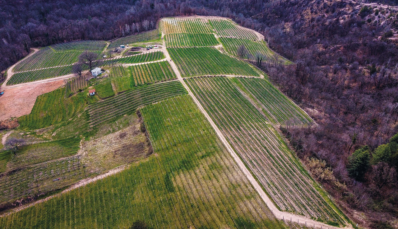 Roccia Rossa Wines: vini preziosi forgiati nella roccia - Torino Magazine