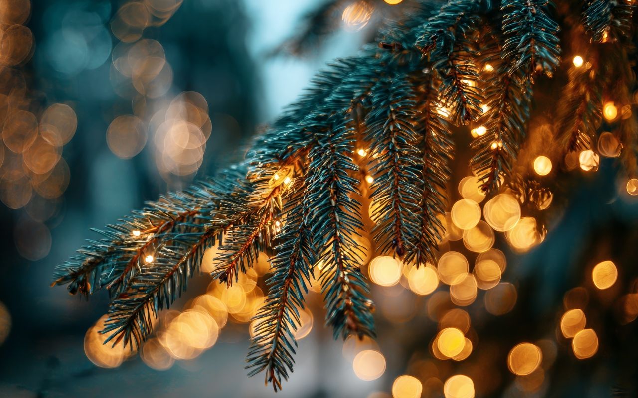 "Natale 2025" a Torino - Torino Magazine